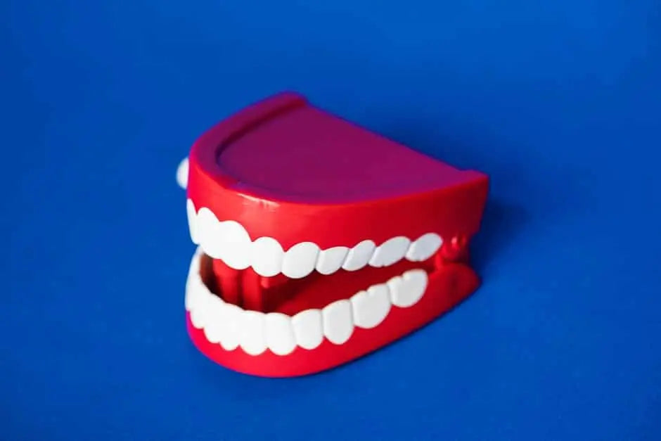 A Beginner’s Guide to Denture Cleaning - Denture Rescue